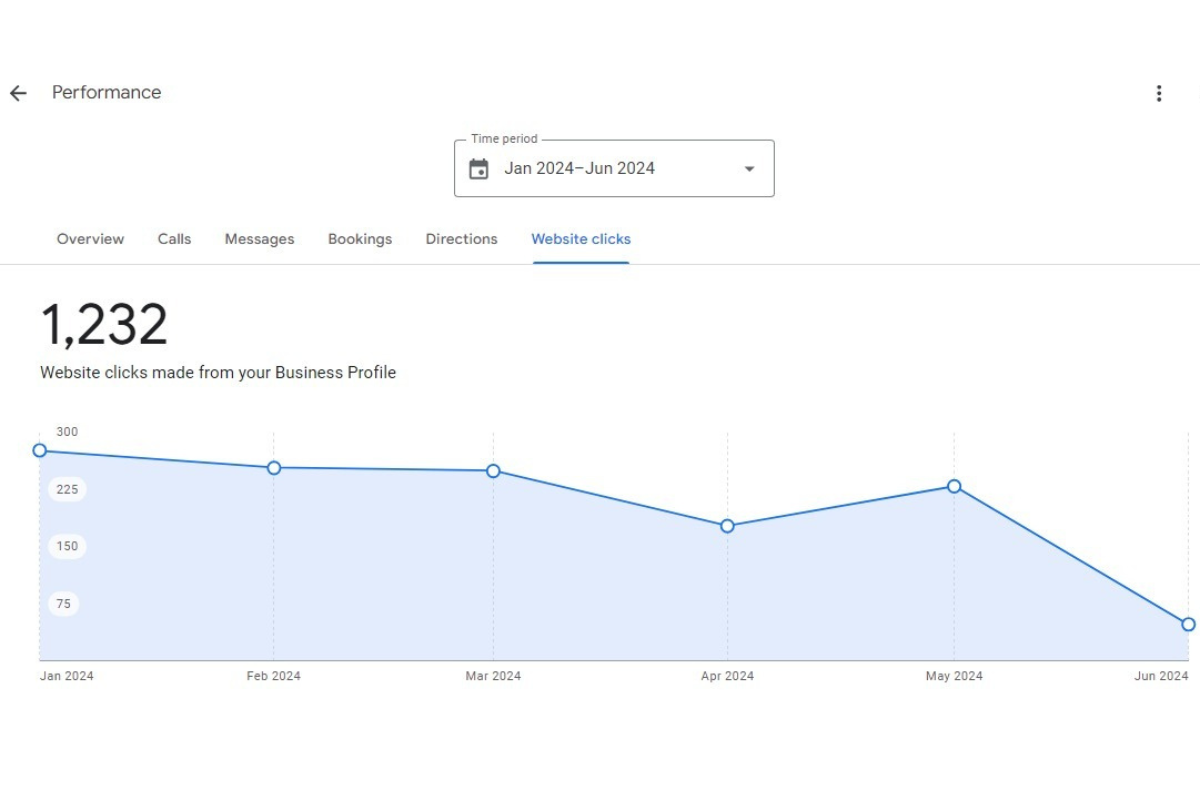 GMB Services Chennai - Saijith Web Design